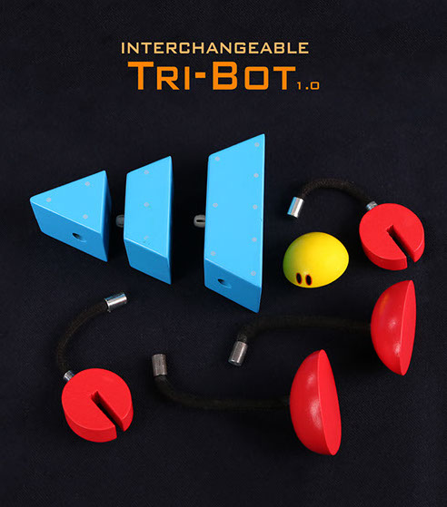 Learning With Pre-Bot Toy and Book